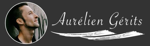 Aurélien Gérits : Développeur expérimenté dans l'optimisation pour le ...